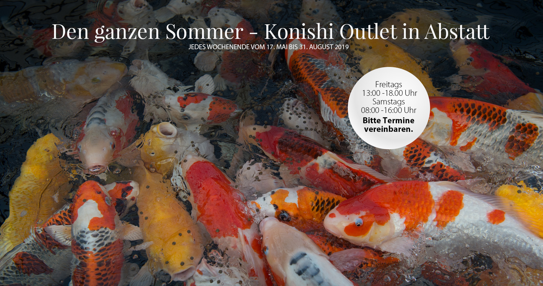Konishi Koi, Koifutter und Auktionen online bei Konishi Europe